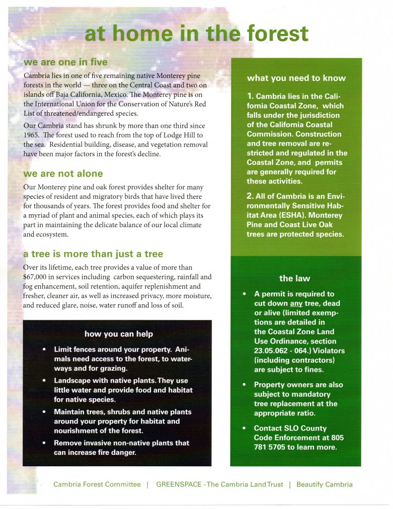 At Home in the Forest brochure | Cambria Forest Committee